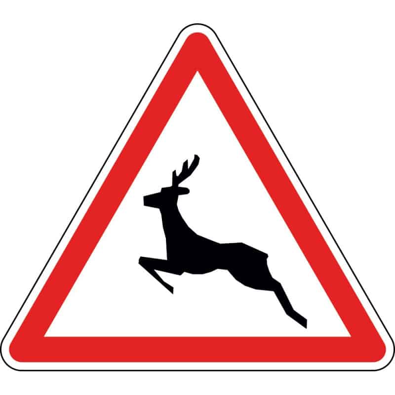 Panneau Animaux Sauvages Code De La Route 1